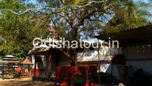 Odisha Tour | Maa Mangala Temple, Kakatpur, Puri