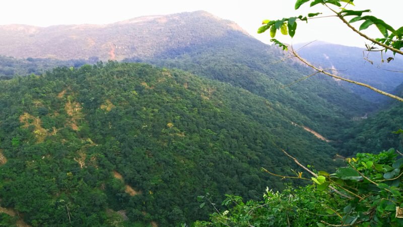 Tensa Hill Station, Nature Camp, Rourkela, Sundargarh | Odisha Tour