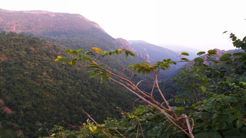 Eco Retreat Daringbadi, Kandhamal | Odisha Tour