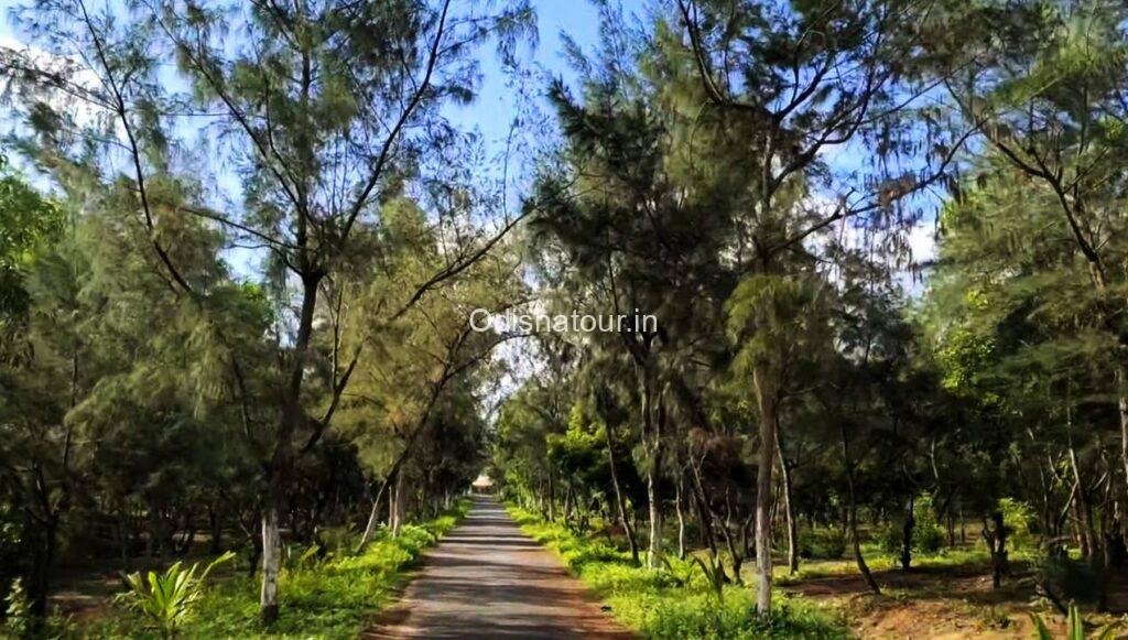 Pati Sonapur Sea Beach, Berhampur, Ganjam | Odisha Tour