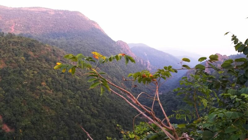 Deomali Nature Camp & Eco Cottage, Koraput | Odisha Tour