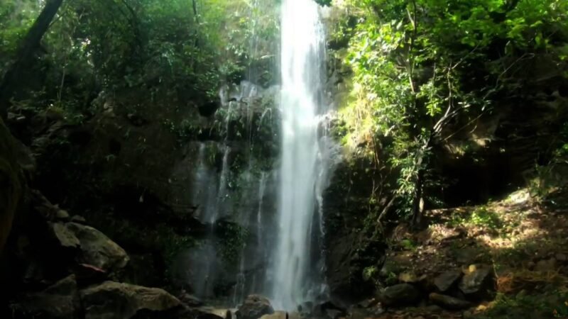 Sureswari Waterfall, Bampur Forest, Angul | Odisha Tour