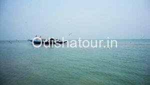 Chilika Lake & Panthanivas, Barkul, Khordha | Odisha Tour
