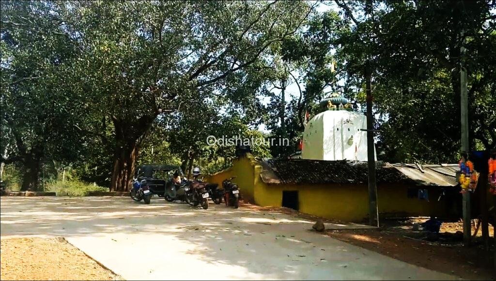 Badaghagara Waterfall, Keonjhar | Odisha Tour