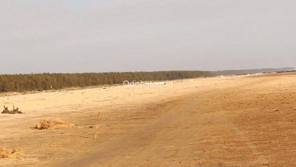 Dagara Sea Beach, Balasore | Odisha Tour