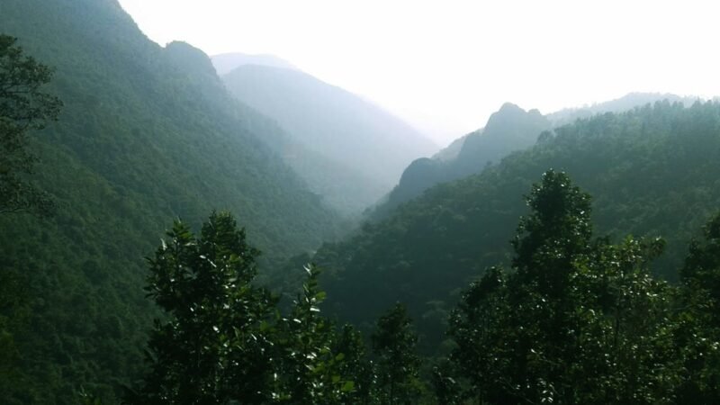 Tensa Hill Station, Nature Camp, Rourkela, Sundargarh | Odisha Tour