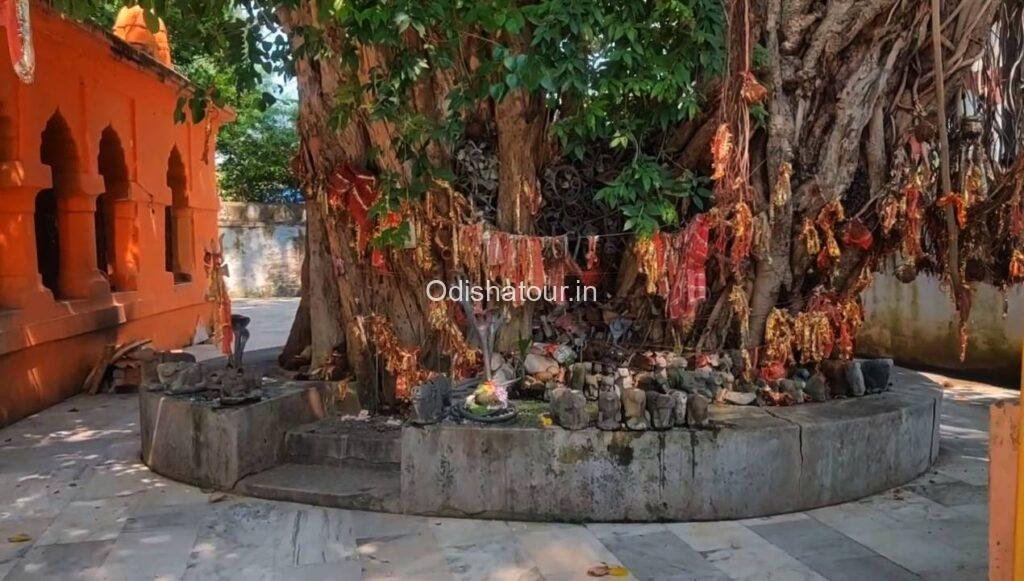 Huma Leaning Shiva Temple, Sambalpur | Odisha Tour