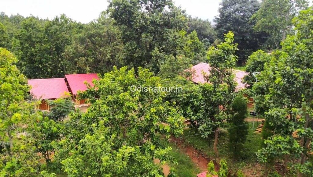 Mandasaru Valley Nature Camp, Daringbadi, Kandhamal | Odisha Tour
