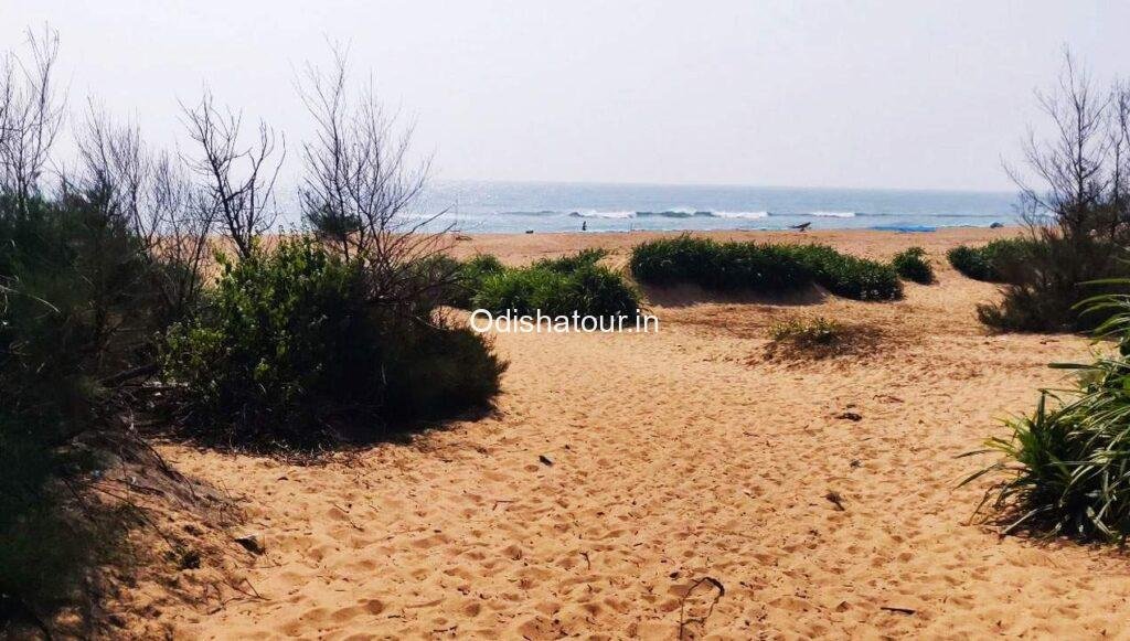 Baliharachandi Temple & Sea Beach, Puri | Odisha Tour