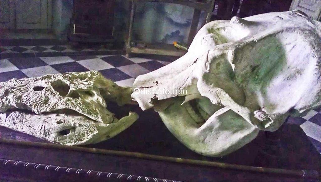 Odisha Tour | Rajkanika Palace, Kanika Rajbati, Kendrapara