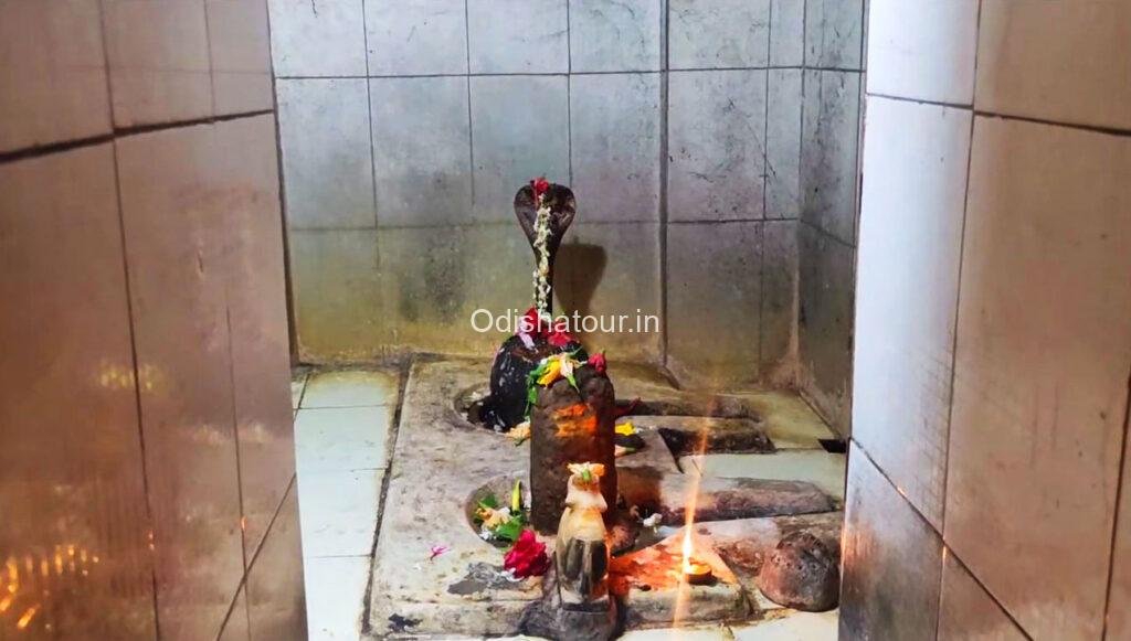 Maa Sureswari Temple, Sonepur, Subarnapur | Odisha Tour