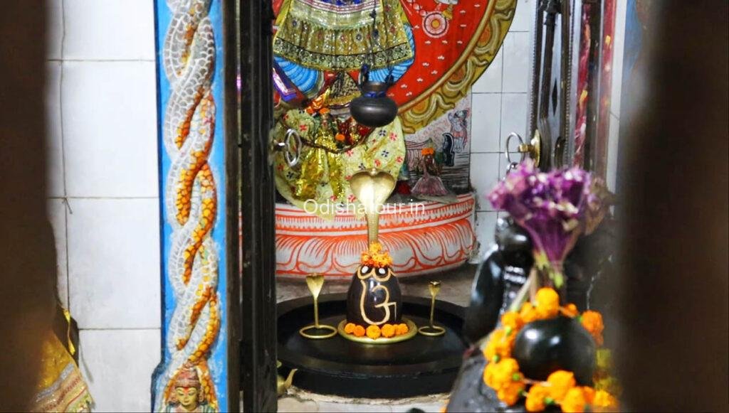 Shree Shree Omkareshwar Temple, Puri | Odisha Tour