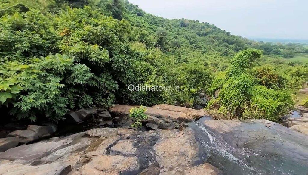 Odisha Tour | Baisipalli Wildlife Sanctuary, Nayagarh