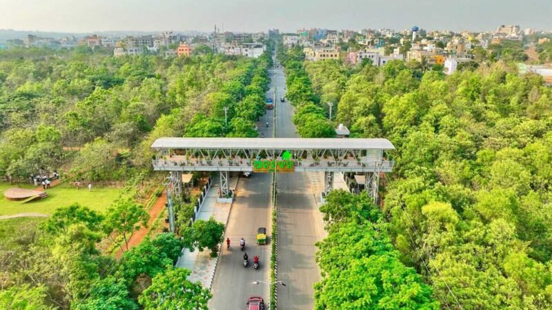 Jungle Safari, Bharatpur, Chandaka, Bhubaneswar | Odisha Tour