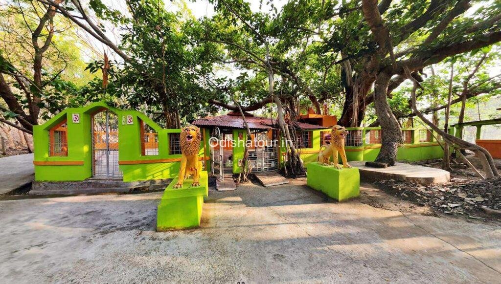 Sanaghagara Waterfall & Nature Camp, Keonjhar | Odisha Tour