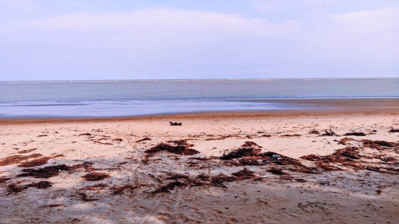 Pir Jahania & Sea Beach, Astaranga, Puri | Odisha Tour
