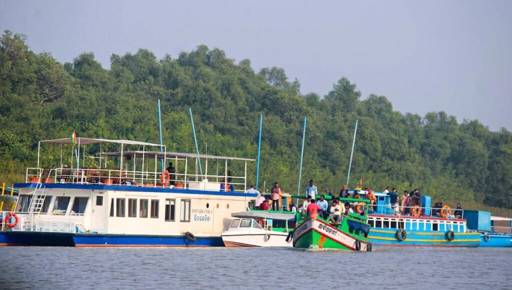 Gupti Nature Camp, Bhitarkanika, Kendrapara | Odisha Tour