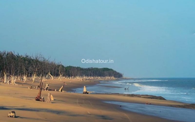 Odisha Tour | Best Tourist Places in Kendrapara District